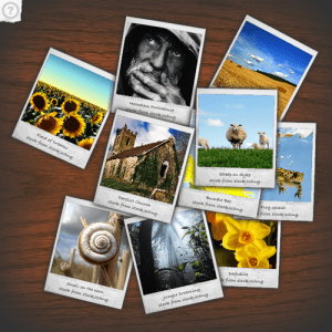 The 25 Worst Business Failures in History