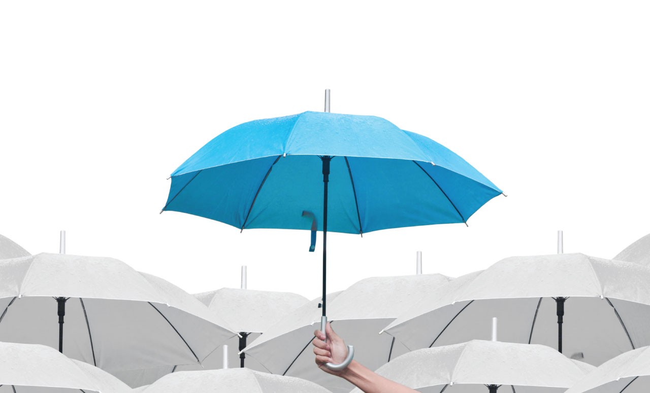 What Is a Series LLC? | Business Pundit